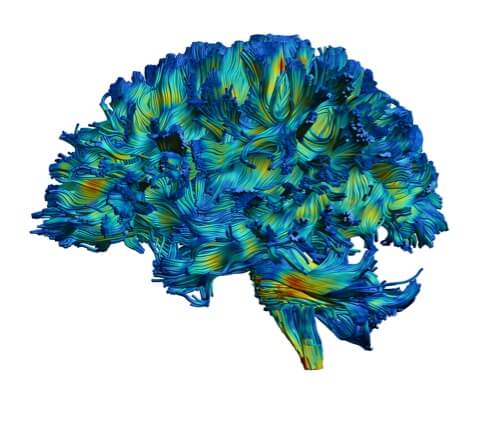 About The Brain & Performance Centre Dubai